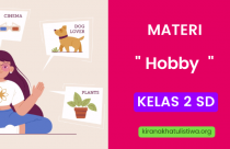 20 Soal Colour Kelas 1 SD Terbaru 2022 - Kirana Khatulistiwa
