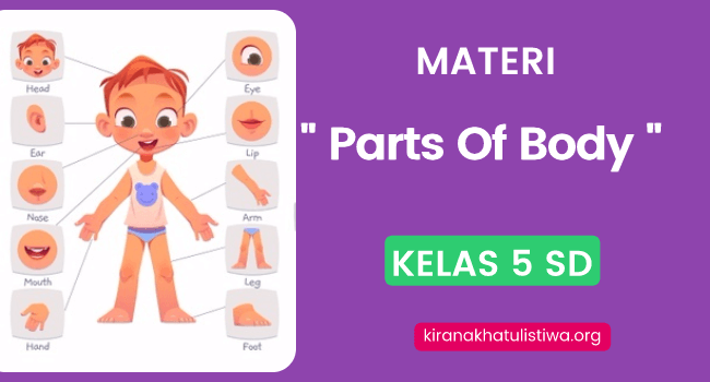 Materi Parts of Body Kelas 5 SD Semester 1 - Kirana Khatulistiwa
